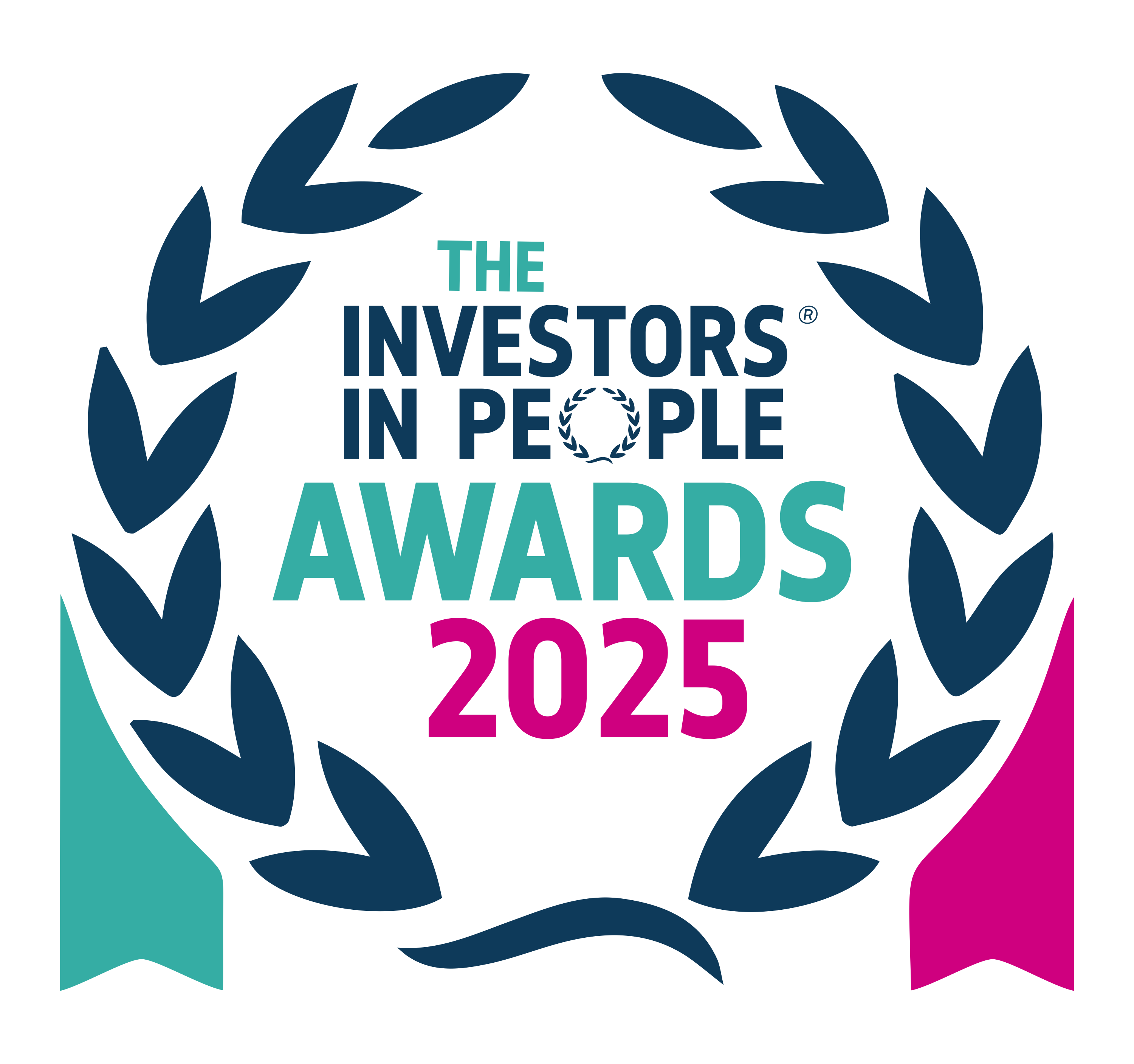 The Investors in People Awards 2025 - AwardStage